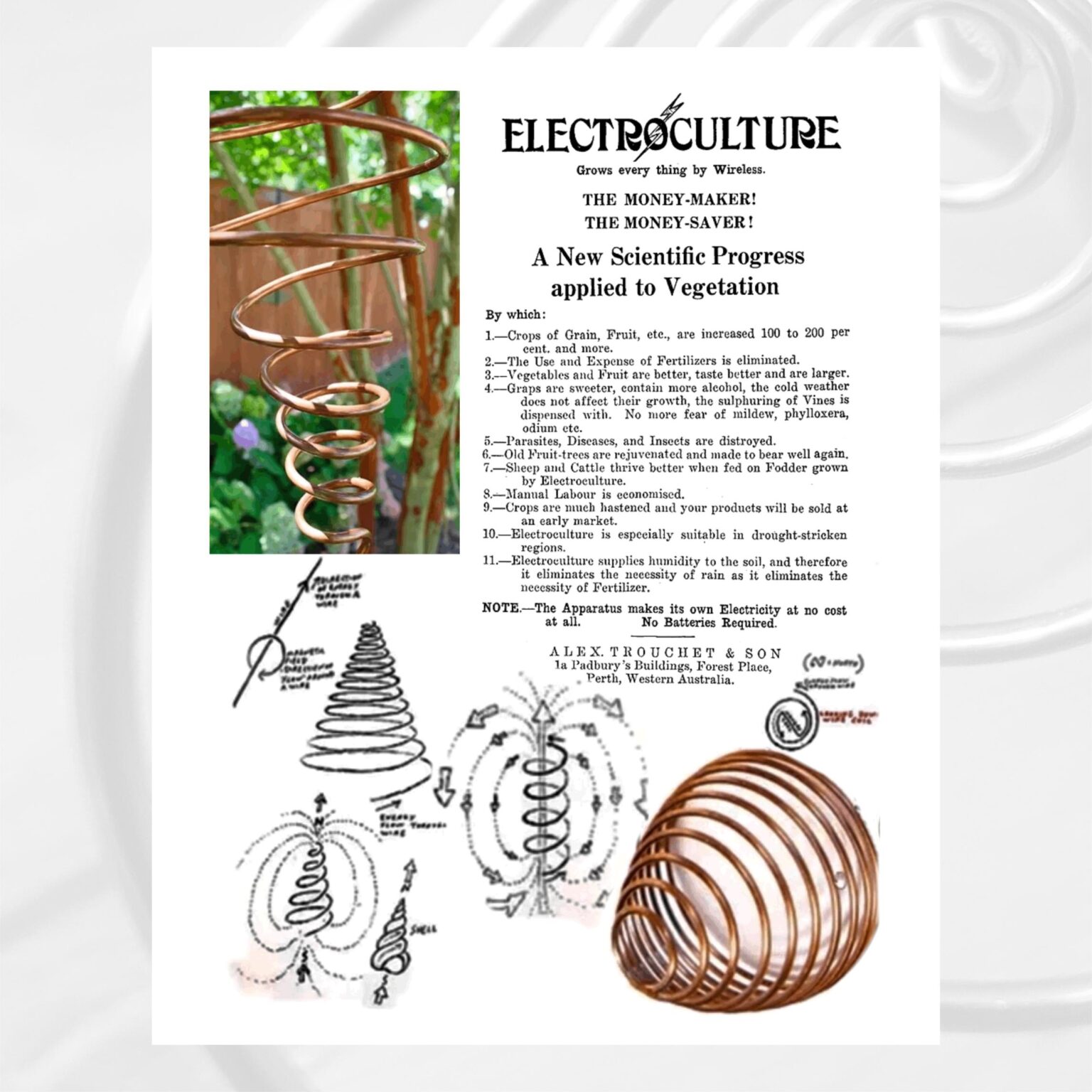 Increase plant growth with our copper electroculture